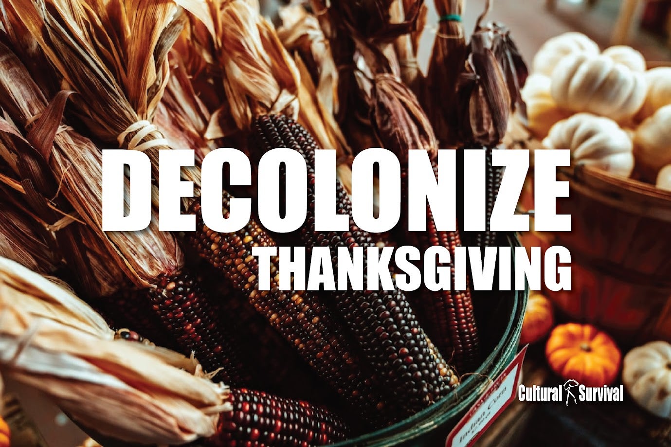 11 Ways to Decolonize Your Thanksgiving and Honor Native Peoples | Cultural Survival